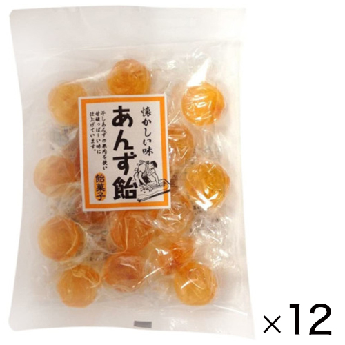 中島製菓 あんず飴 117g×12｜小規模保育施設向けの通販サイト ハグット
